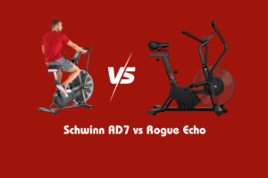 Schwinn AD7 vs Rogue Echo [Ultimate Indoor Bikes] - Muscle Madness HQ